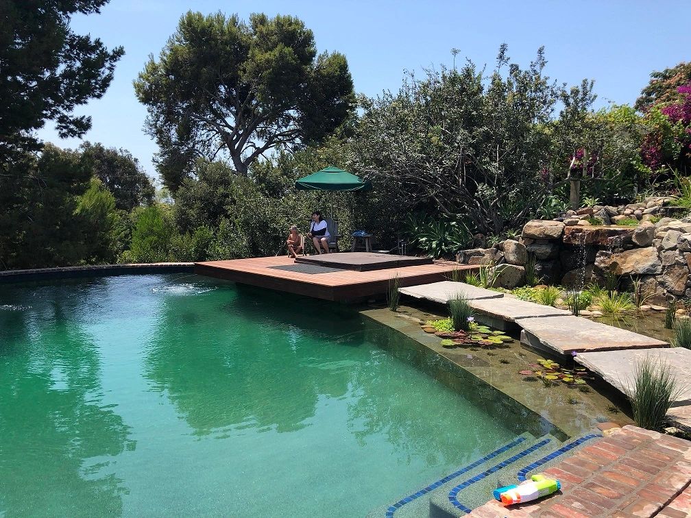 BIOLOGICAL POOLS ARE ALIVE, CHEMICAL POOLS ARE DEAD. blog#2