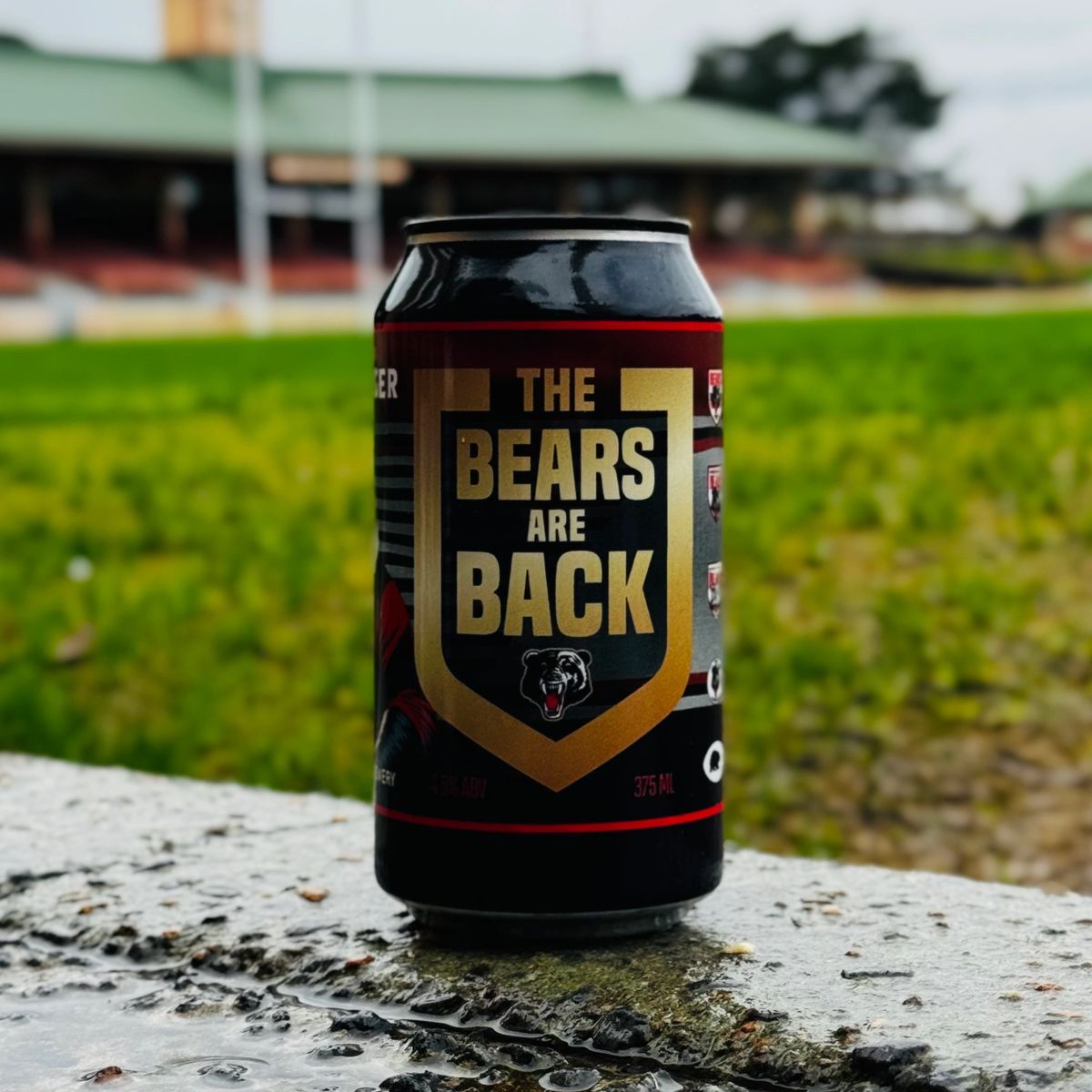 The Bears are Back Lager 375ml CANS 24pk 4.5%