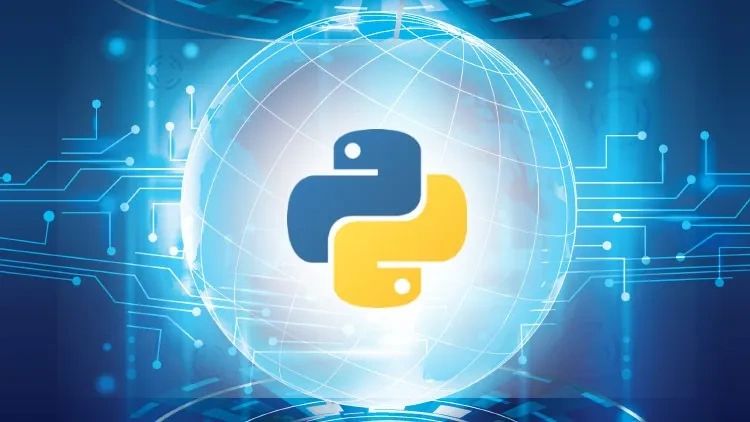 The Rise of Python and Why You Should Care
