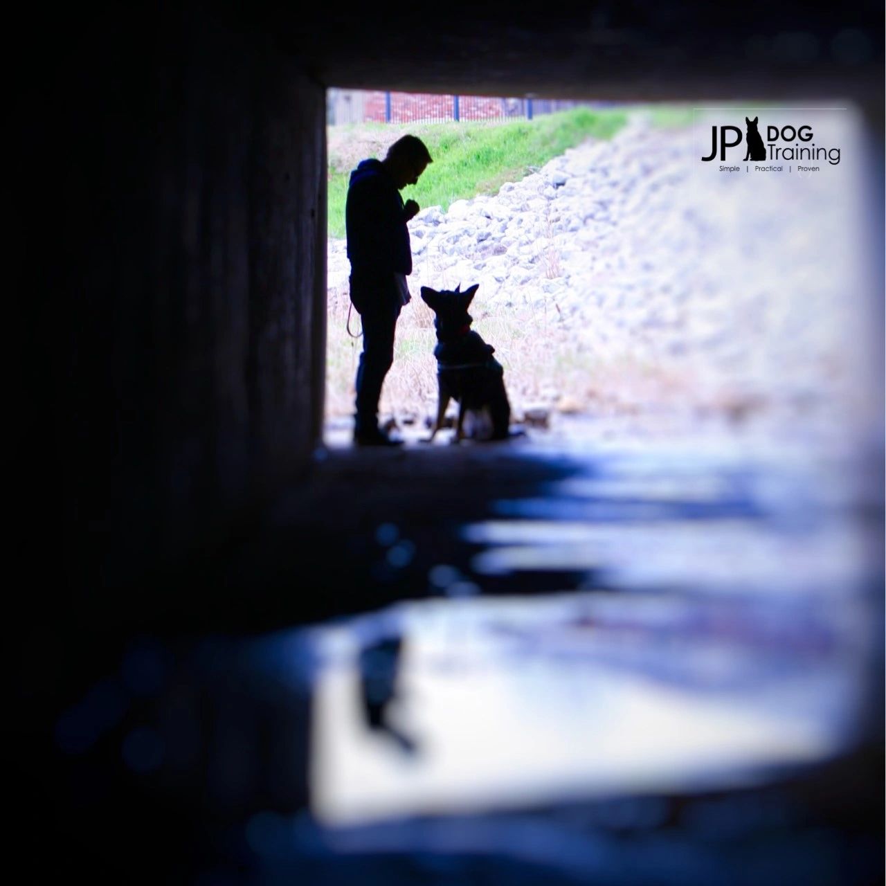 JP Dog Training - Dog Training, Dog Obedience