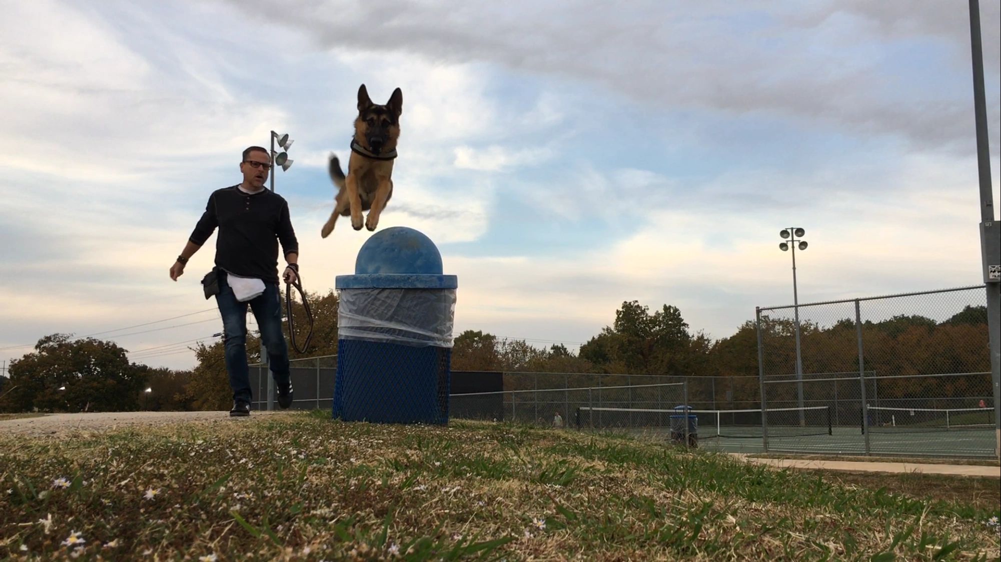 JP Dog Training - Dog Training, Dog Obedience