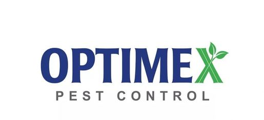 [Affordable Pest Control Solutions] | Residential & Commercial