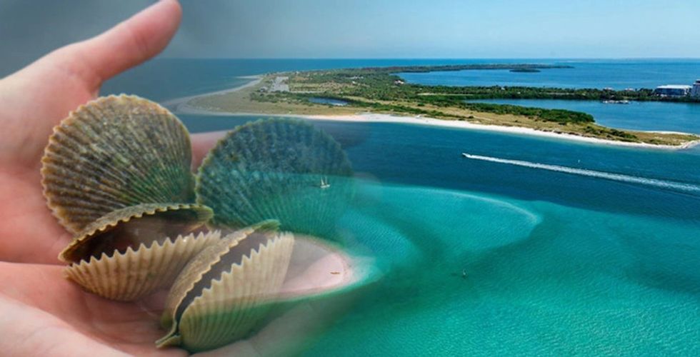 Peddler's Post - Advertising, Newspaper