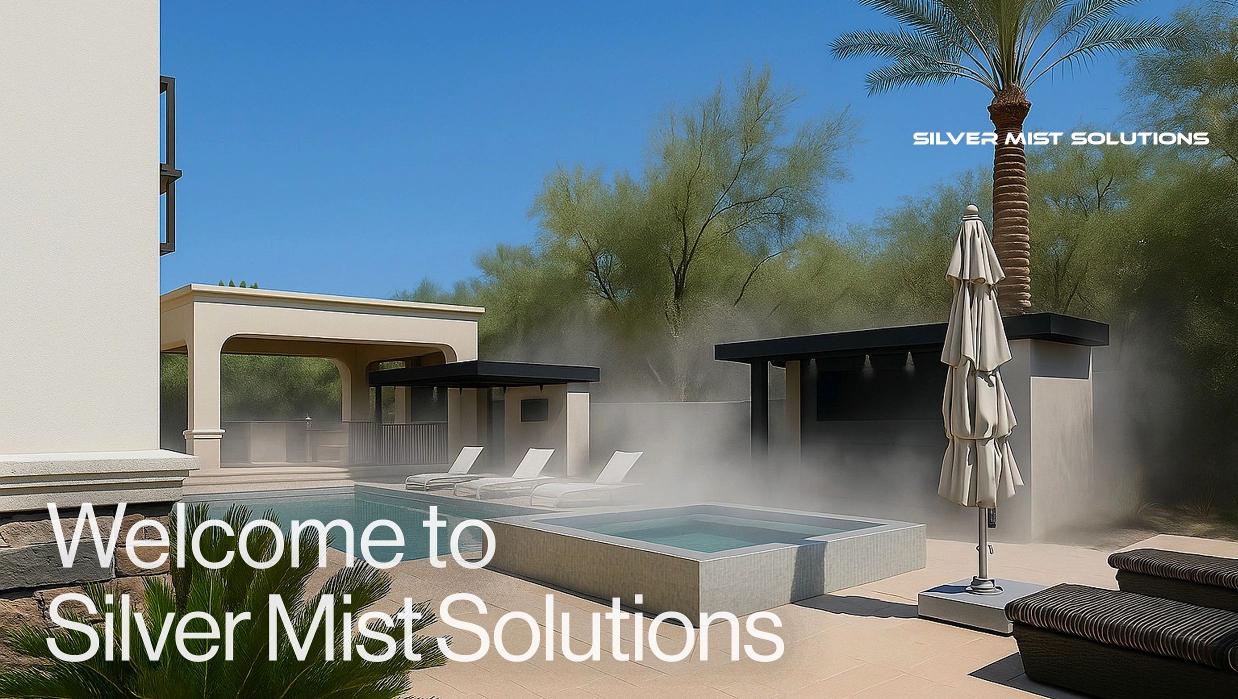 Silver Mist Solution