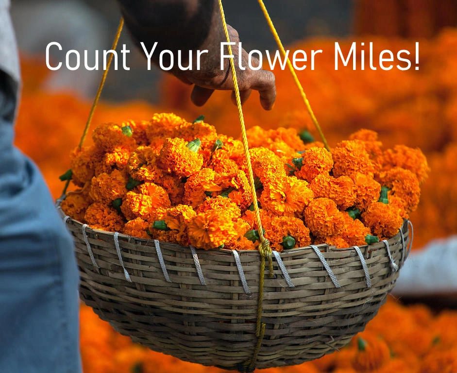 Why Count Flower Miles- DecorbyKrishna take on Flower Miles