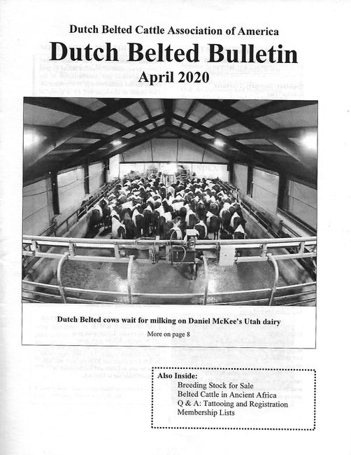 Dutch Belted Bulletin | Dutch Belted Association