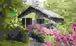 Virginia Clay Festival