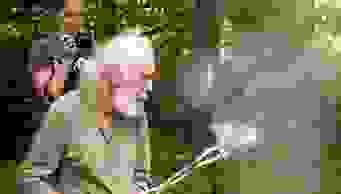 Virginia Clay Festival