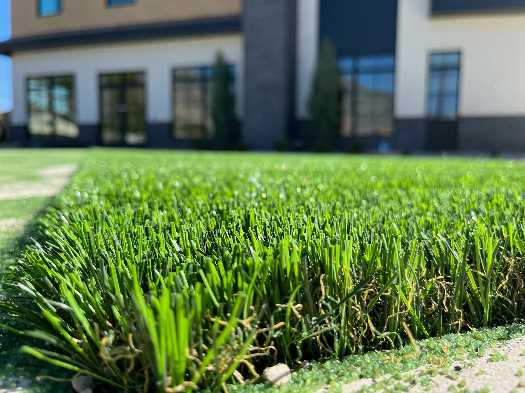 Top Tier Turf