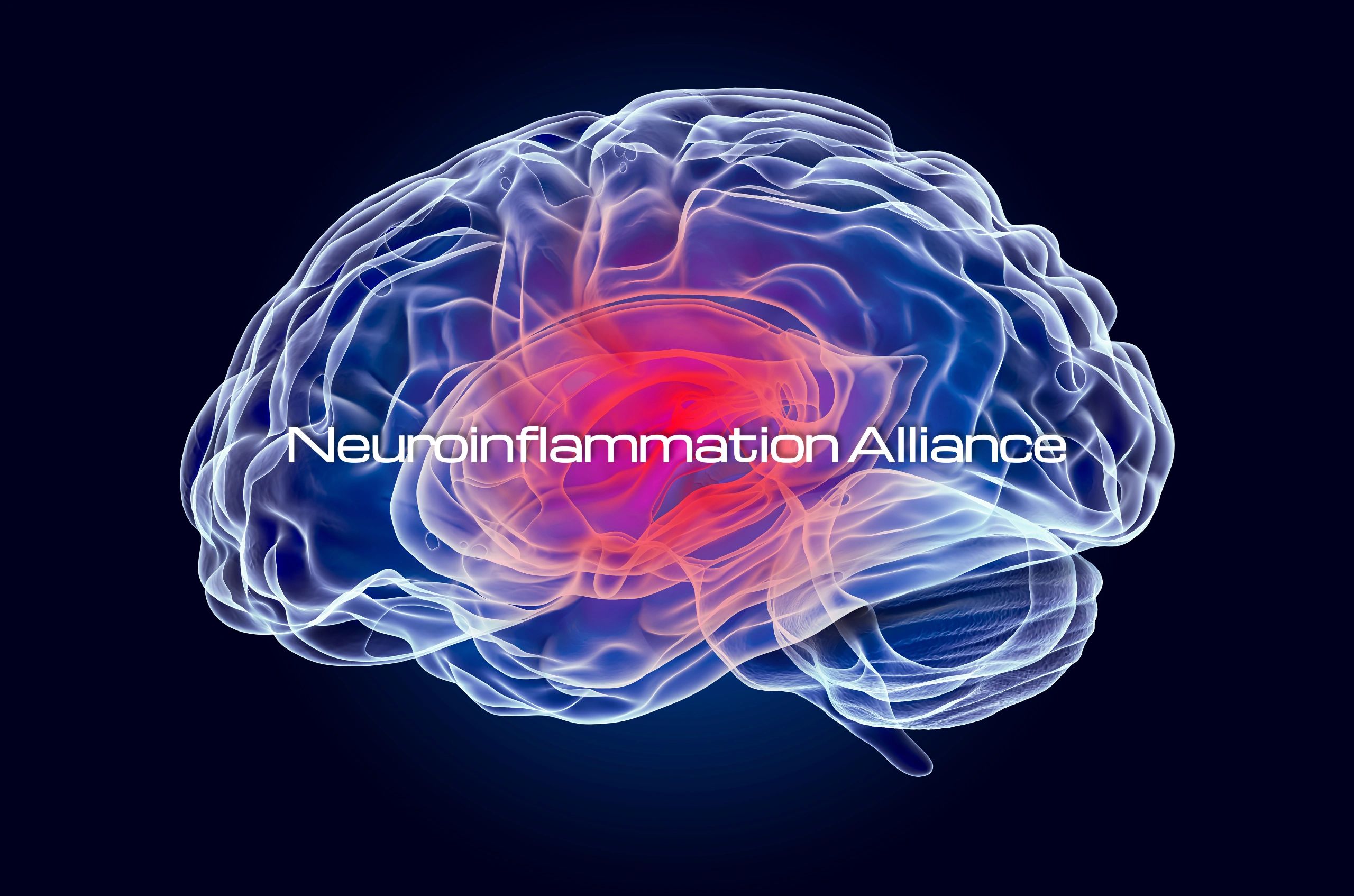 Neuroinflammation Alliance - Neuroinflammation