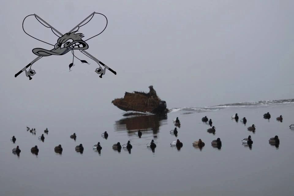 Waterfowl hunts
