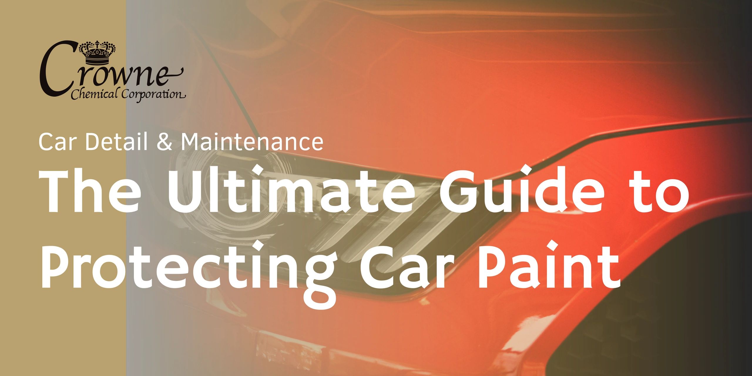 The Ultimate Guide to Protecting Car Paint