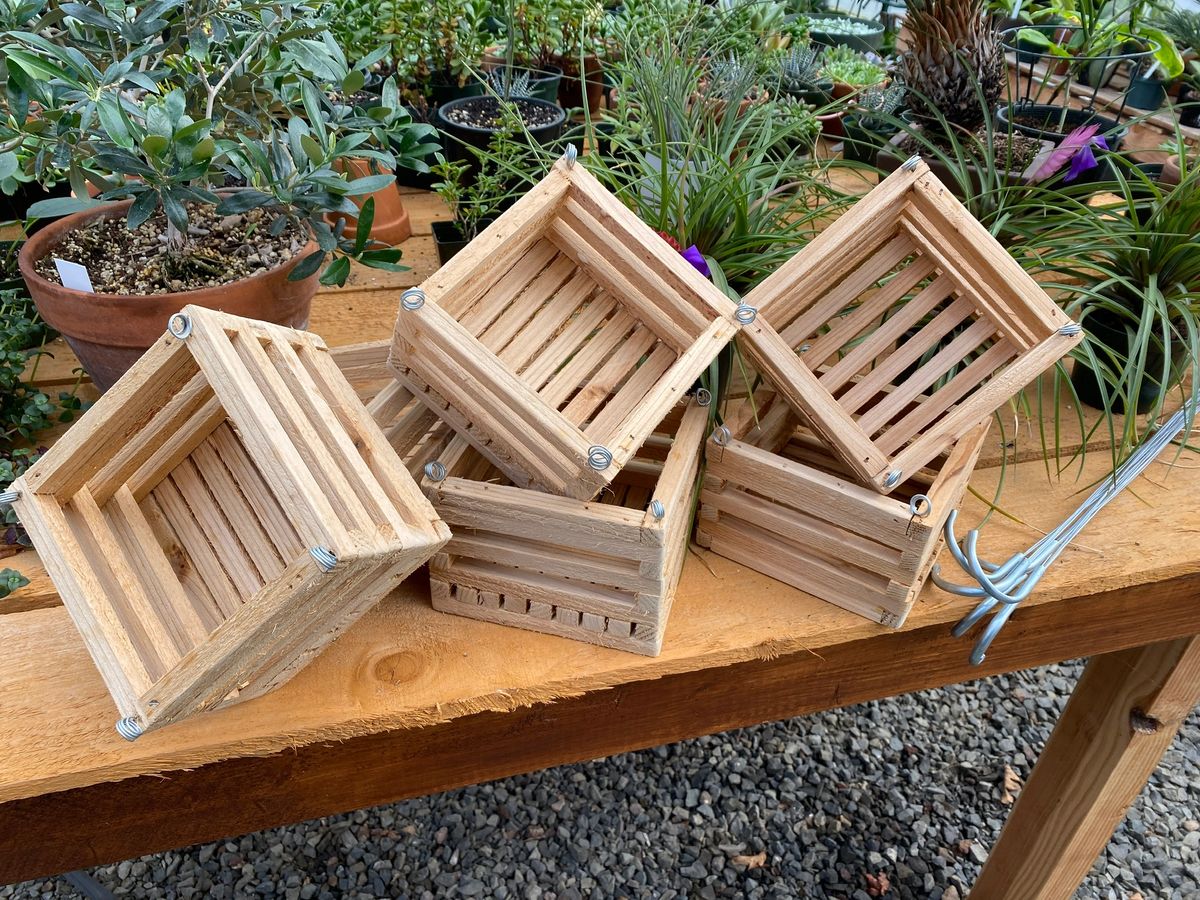 10" Western Cedar Orchid Box