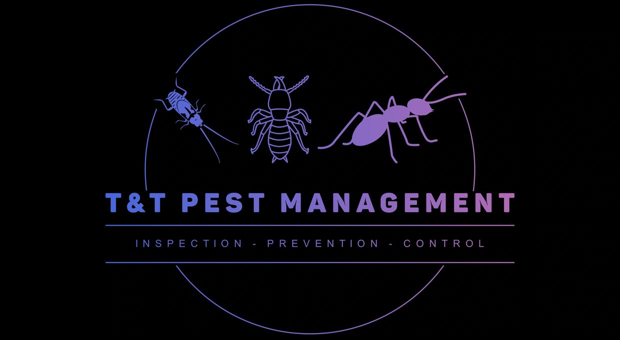 Rockhampton & Yeppoon Pest Control | Free Quotes