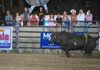Gallery | Dakota Rodeo