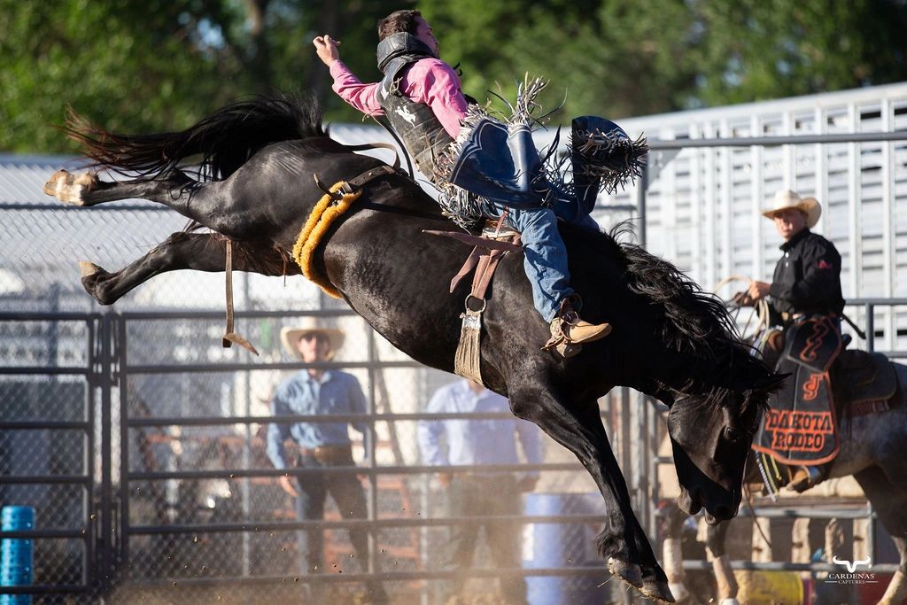 Dakota Rodeo - Rodeo Contractor, Rodeo, Prca, Pro Rodeo