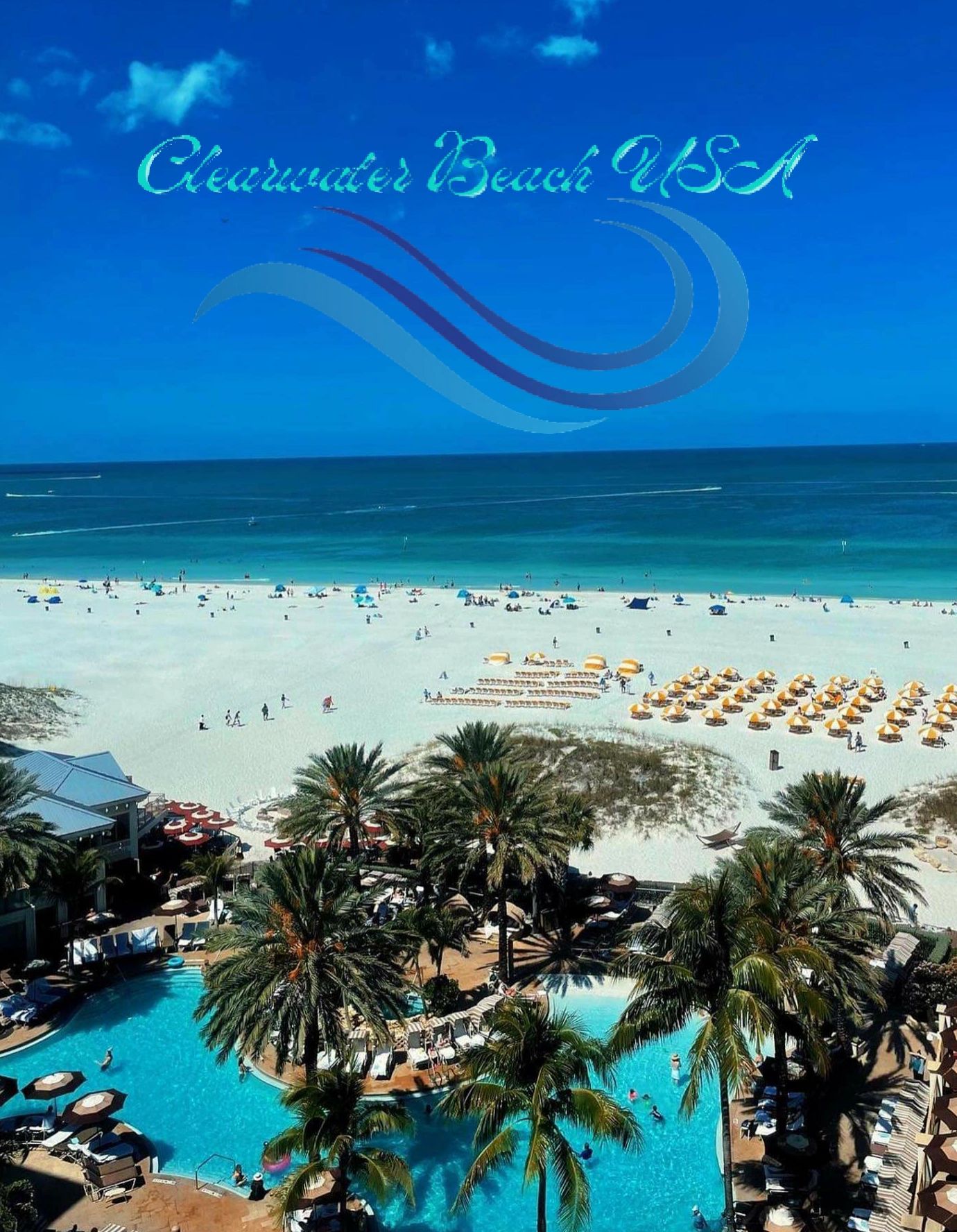 Vicki Norton Gallery | Clearwater Beach USA