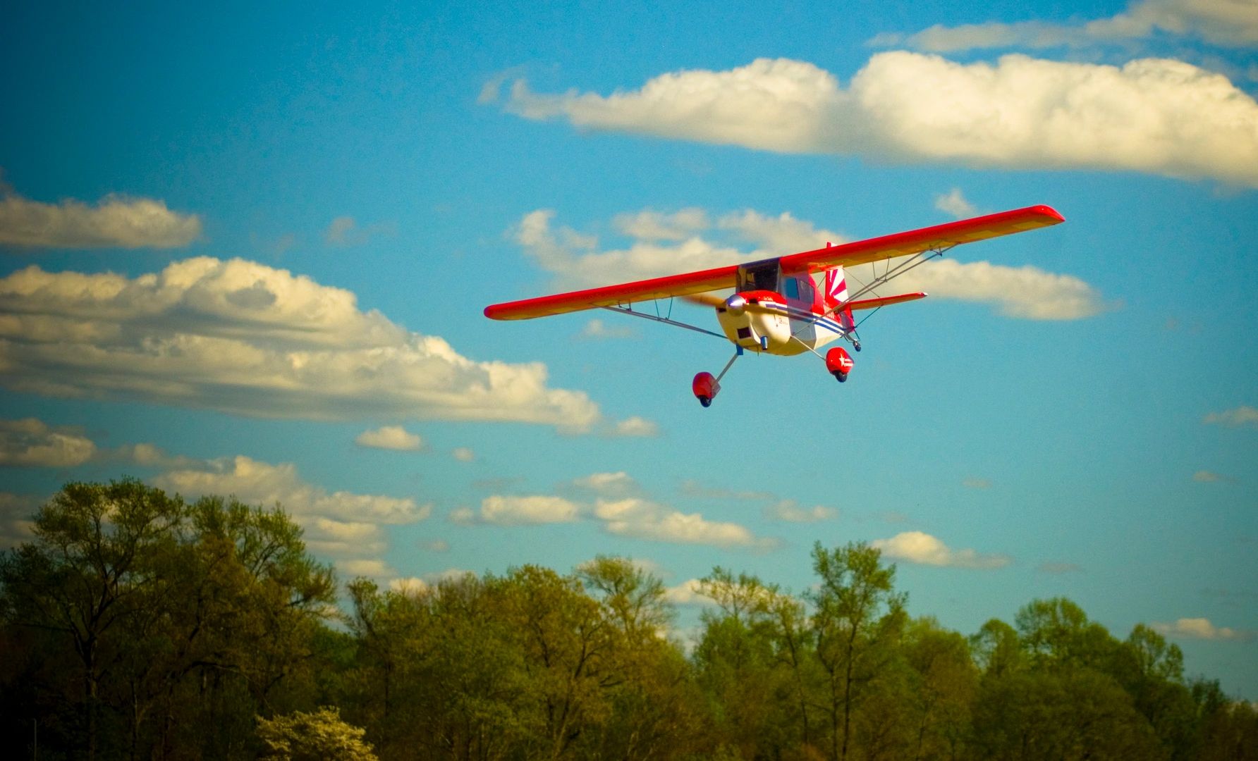 Wayne Miniature Aeronautics