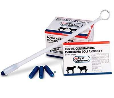FIRST DEFENSE BOLUS - 5 PACK or 30 PACK