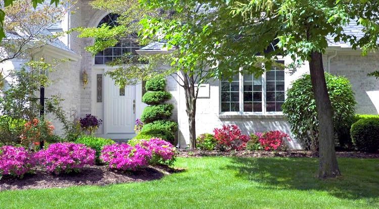 B & G Landscaping & Lawn Care