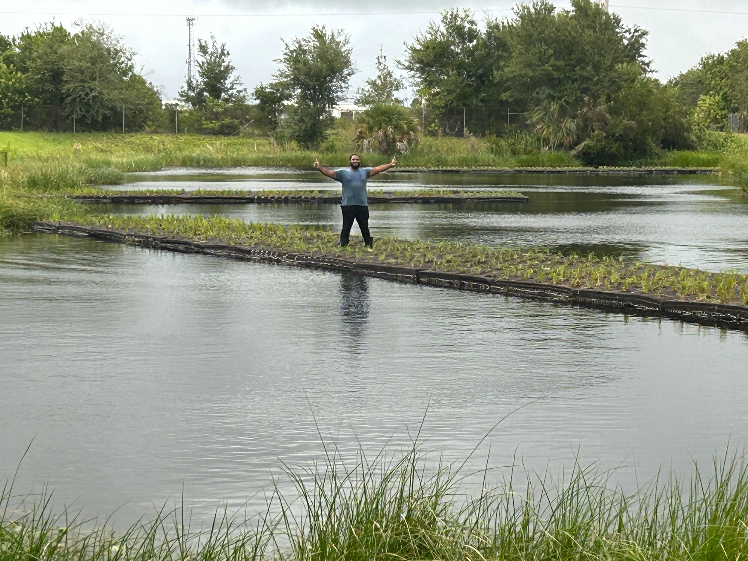 Floating Treatment Wetland