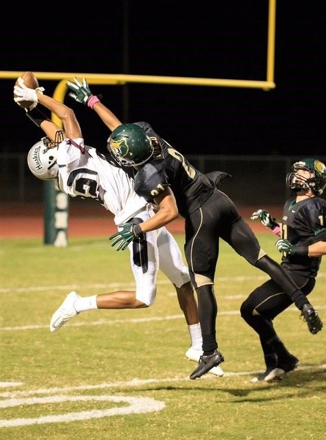 HOME | Phoenix Chapter National Alliance of African American Athletes