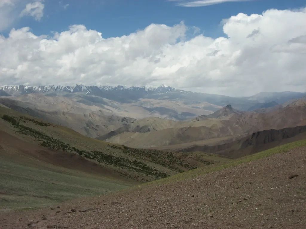 Home [simonshapiro.com]