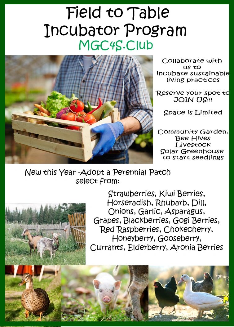 Field to Table Incubator Program 2024