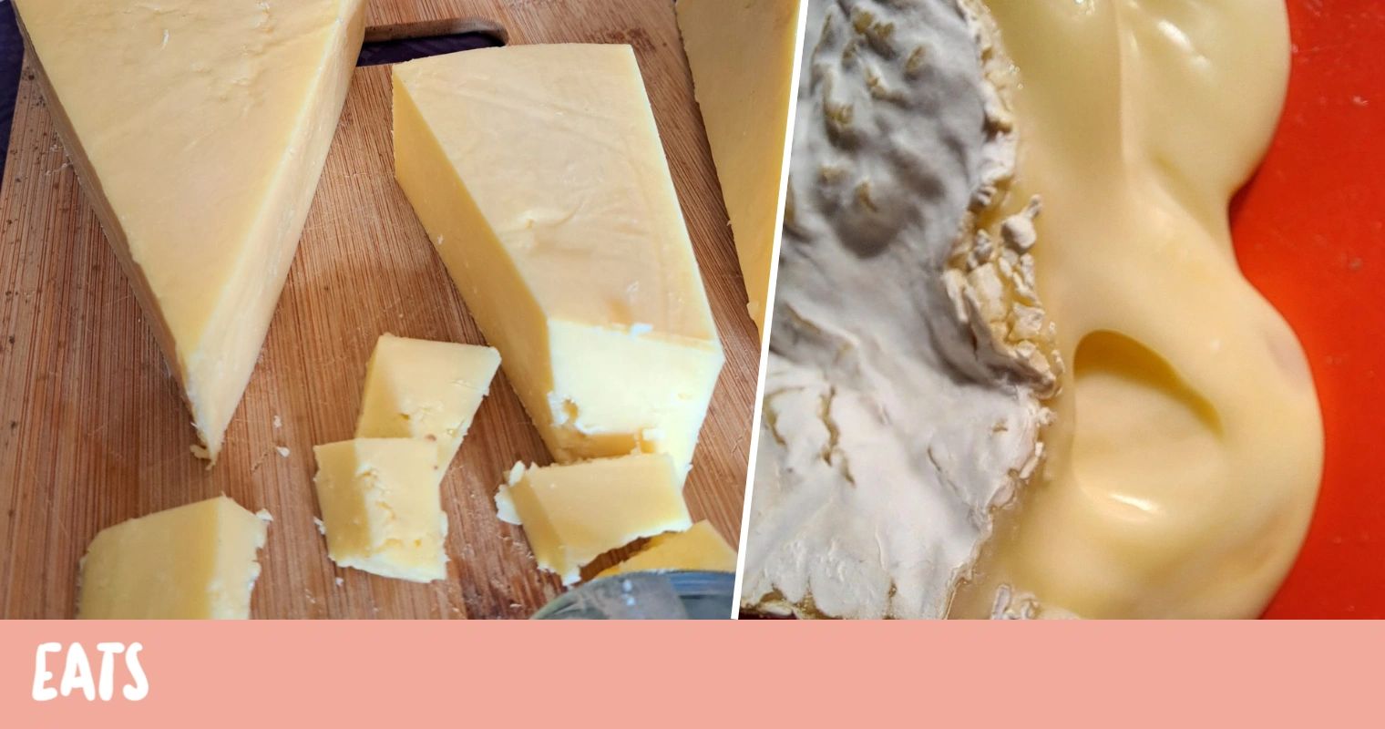 All-you-can-eat cheese nights return to Sheffield