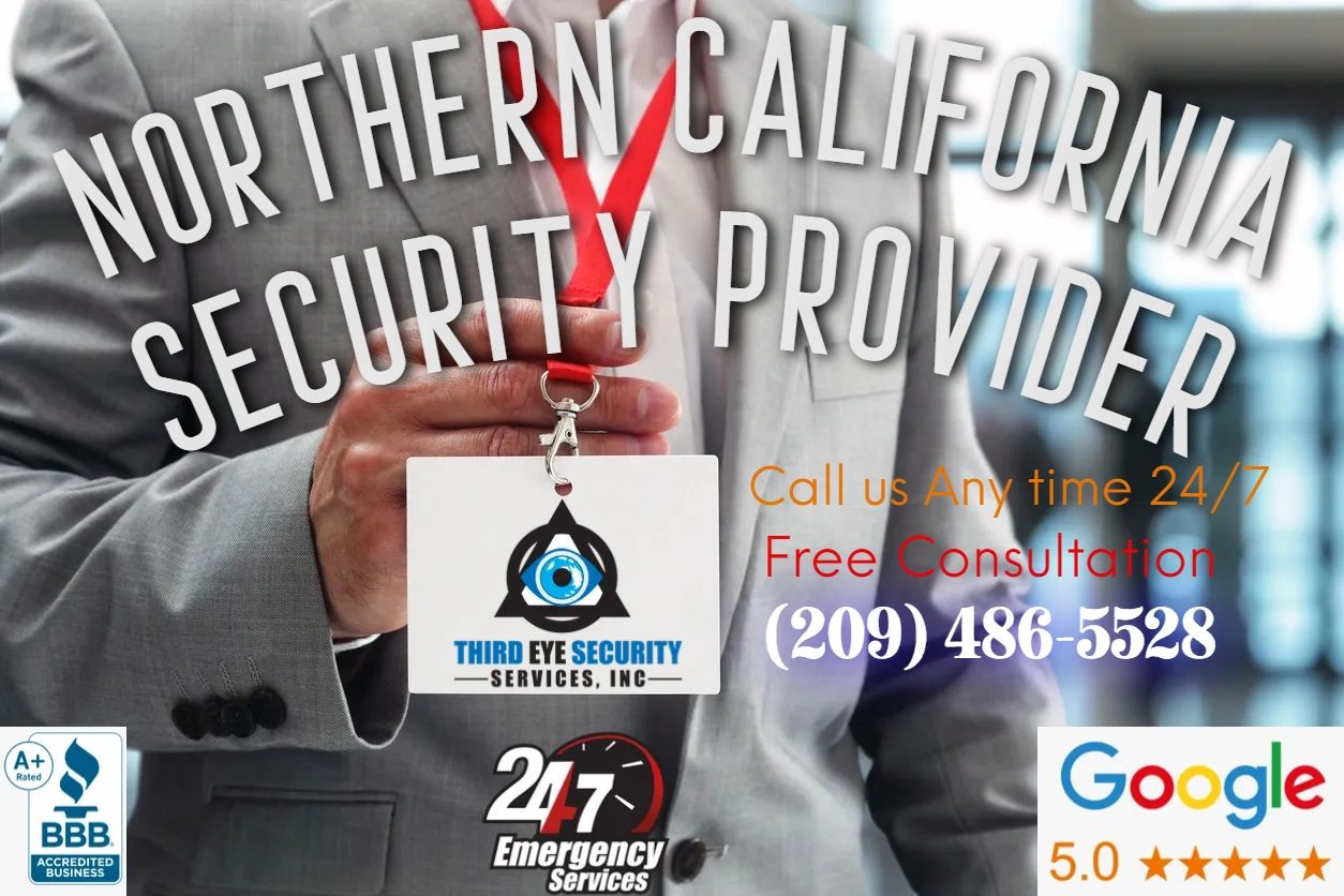 HOME [thirdeyesecurityservicesinc.com]