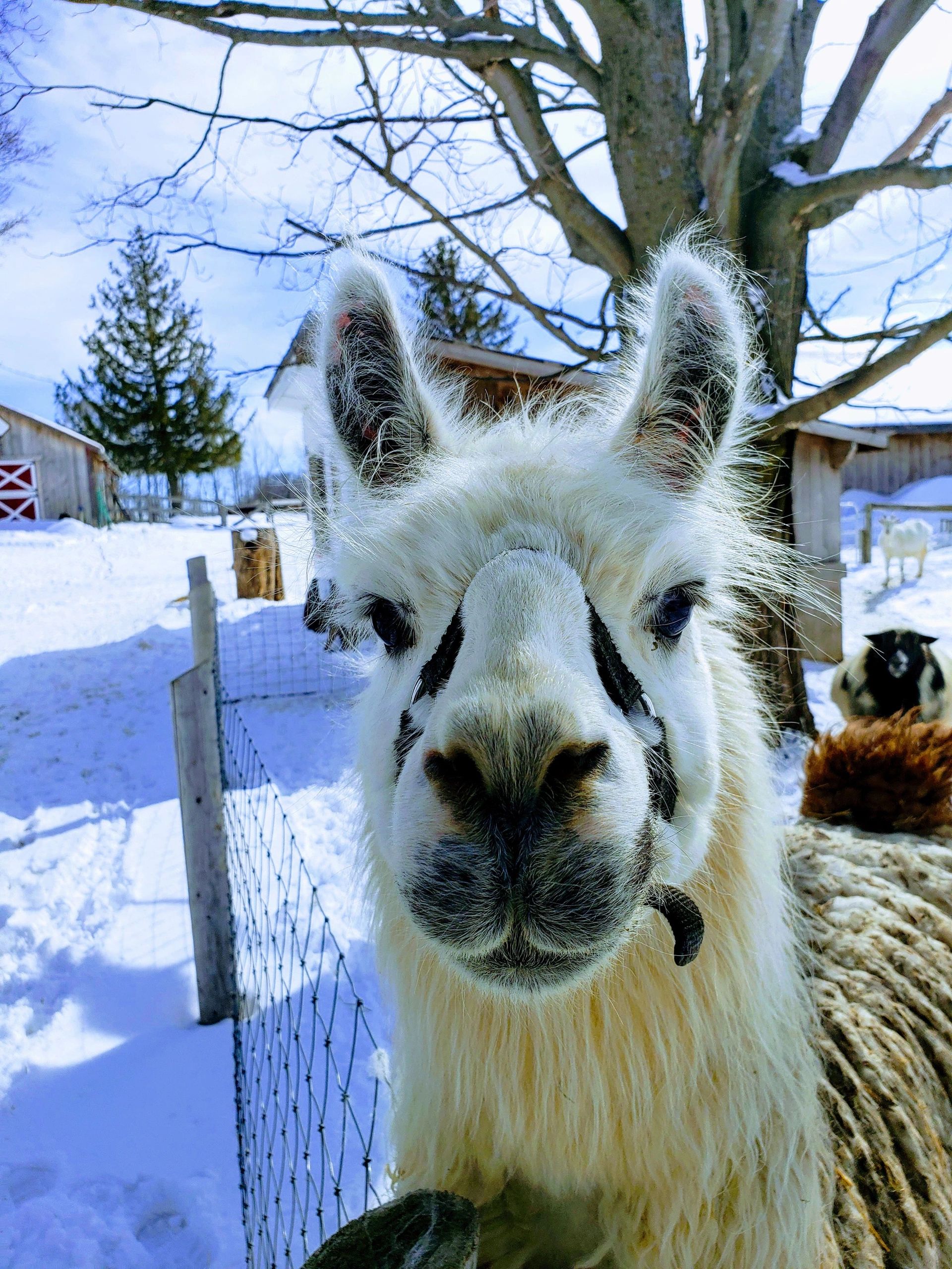 Mother Nature at her worst!