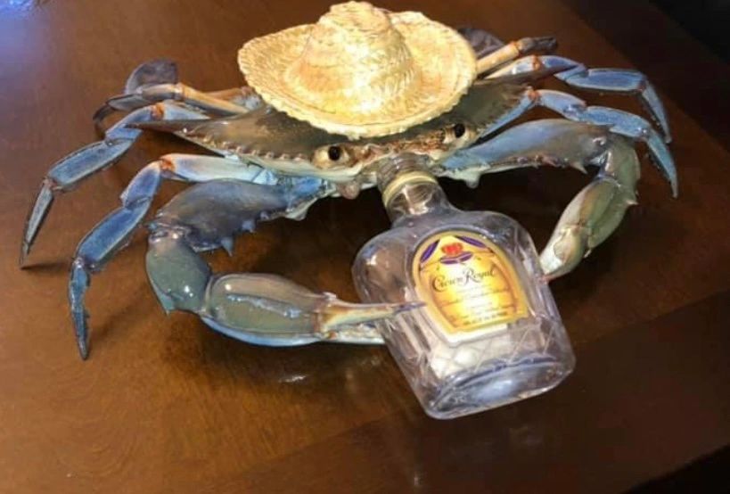 crown royal crab 呂