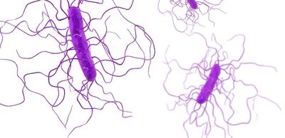 C. diff and MRSA | City Med