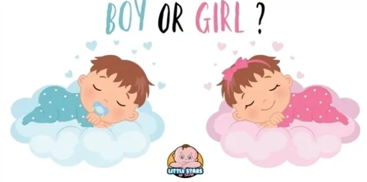 4D Gender Scan - Gender Scan From 15Weeks - Want to Know Boy or Girl