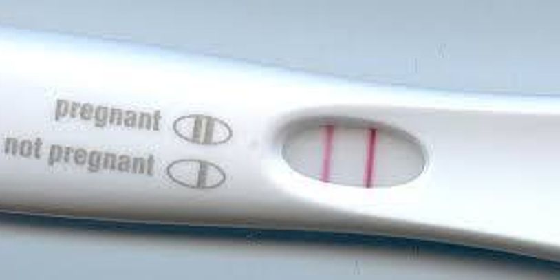 Urine Pregnancy Test