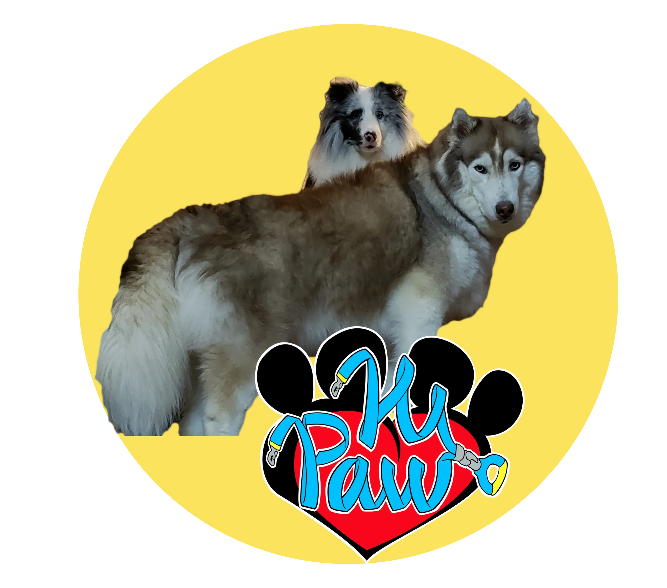 Hi Paw Wellness