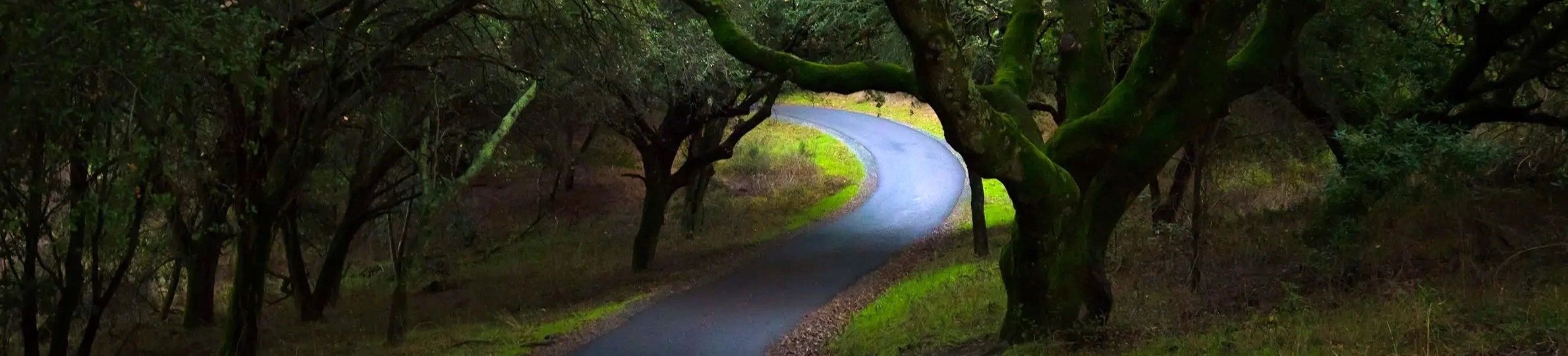 Lafayette Homeowners Council