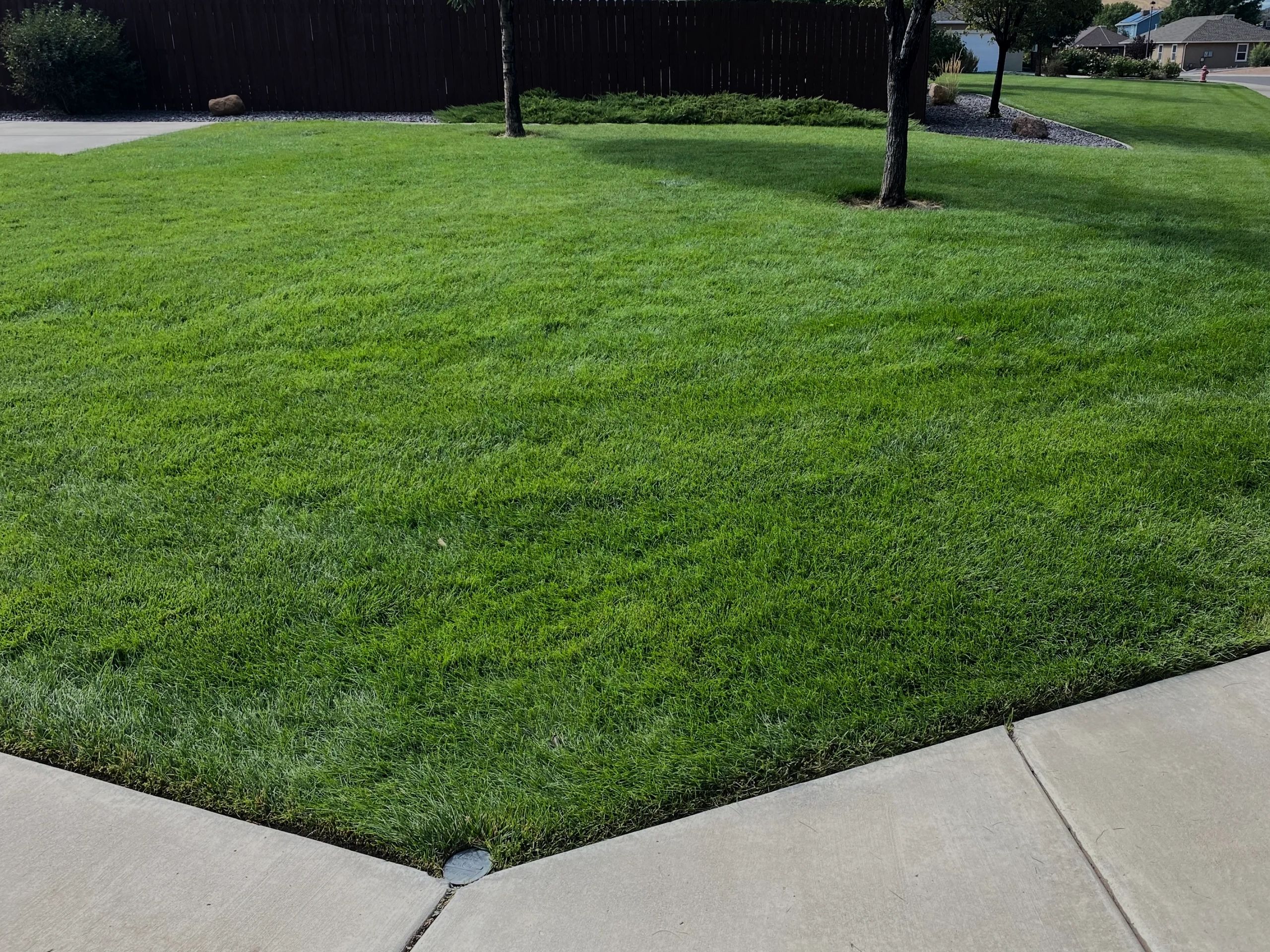 Swanson Landscape Services - Commercial Landscaping, Residential ...