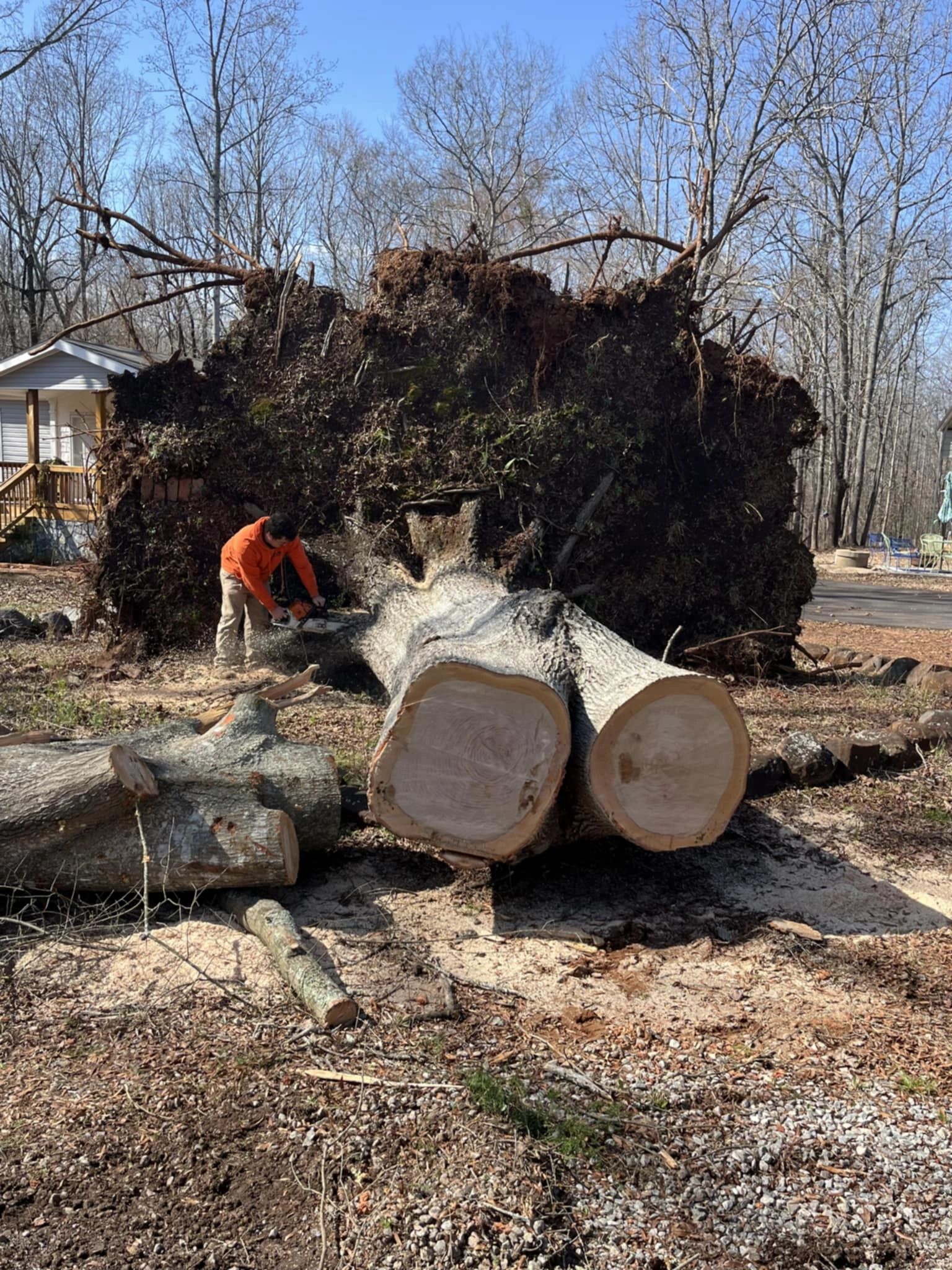 DmtreeandlandservicesLLC.com