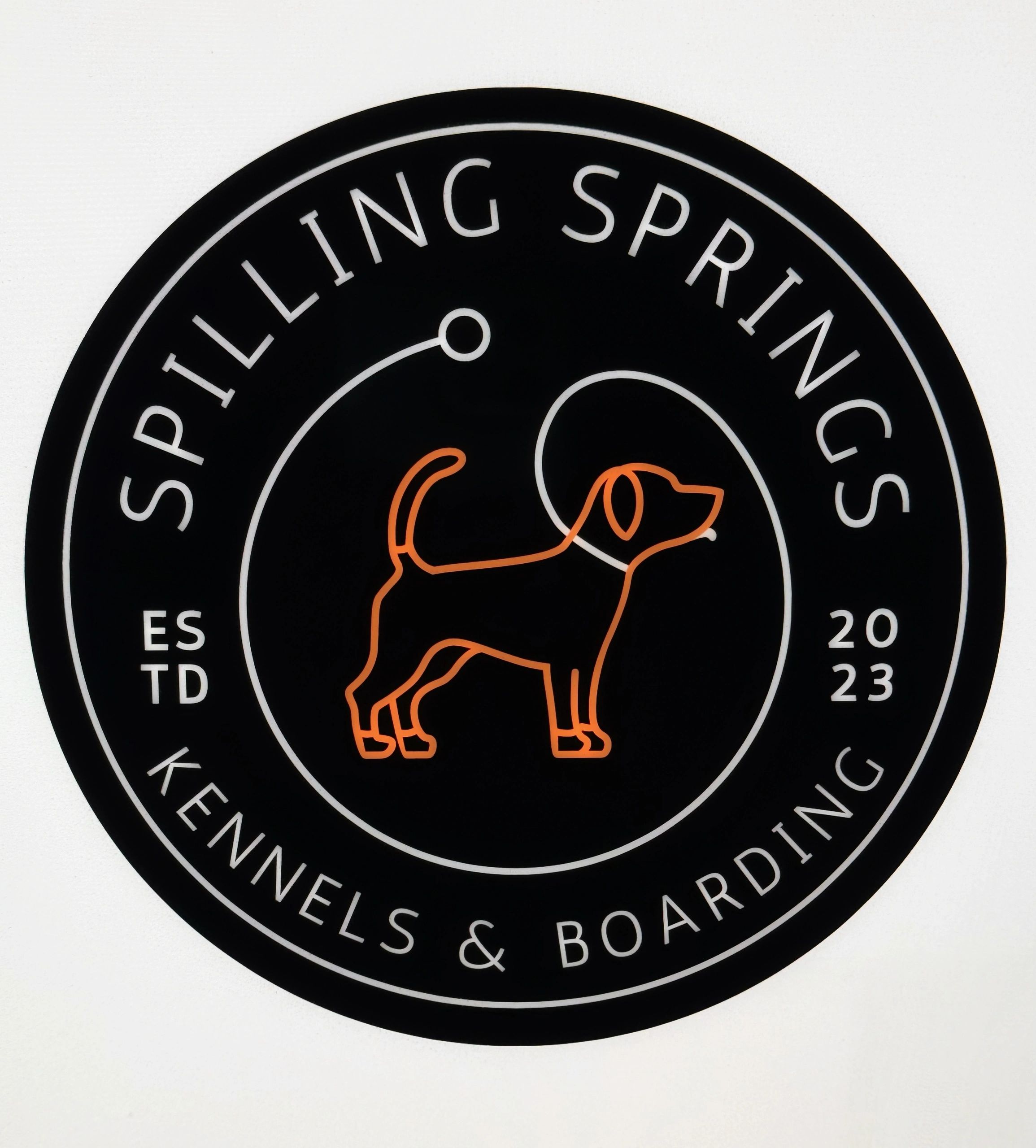 Top Dog Boarding Services for Your Furry Friend