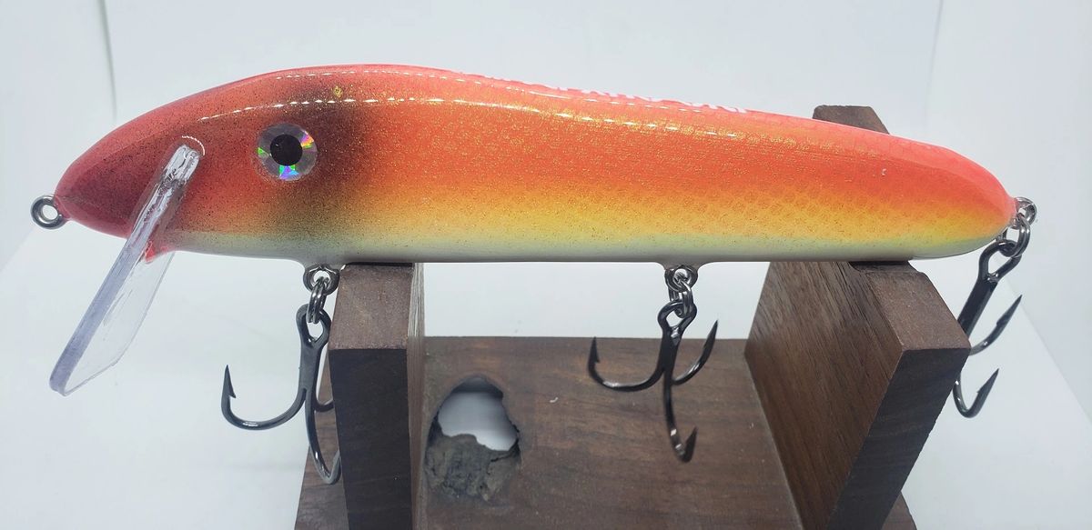 Copper Carp Shallow