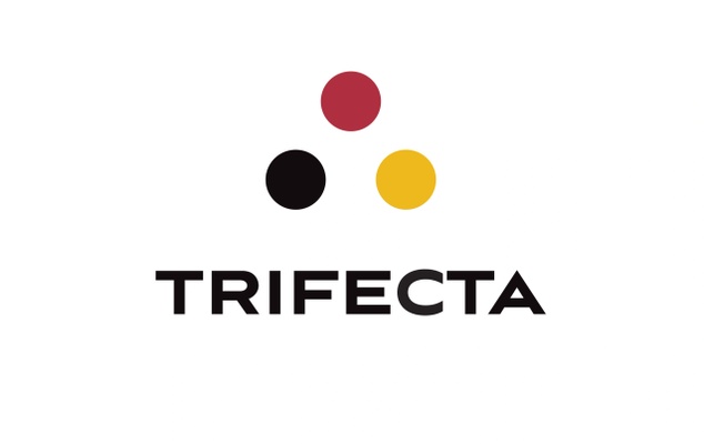 Trifecta LLC - Business Management, Consulting