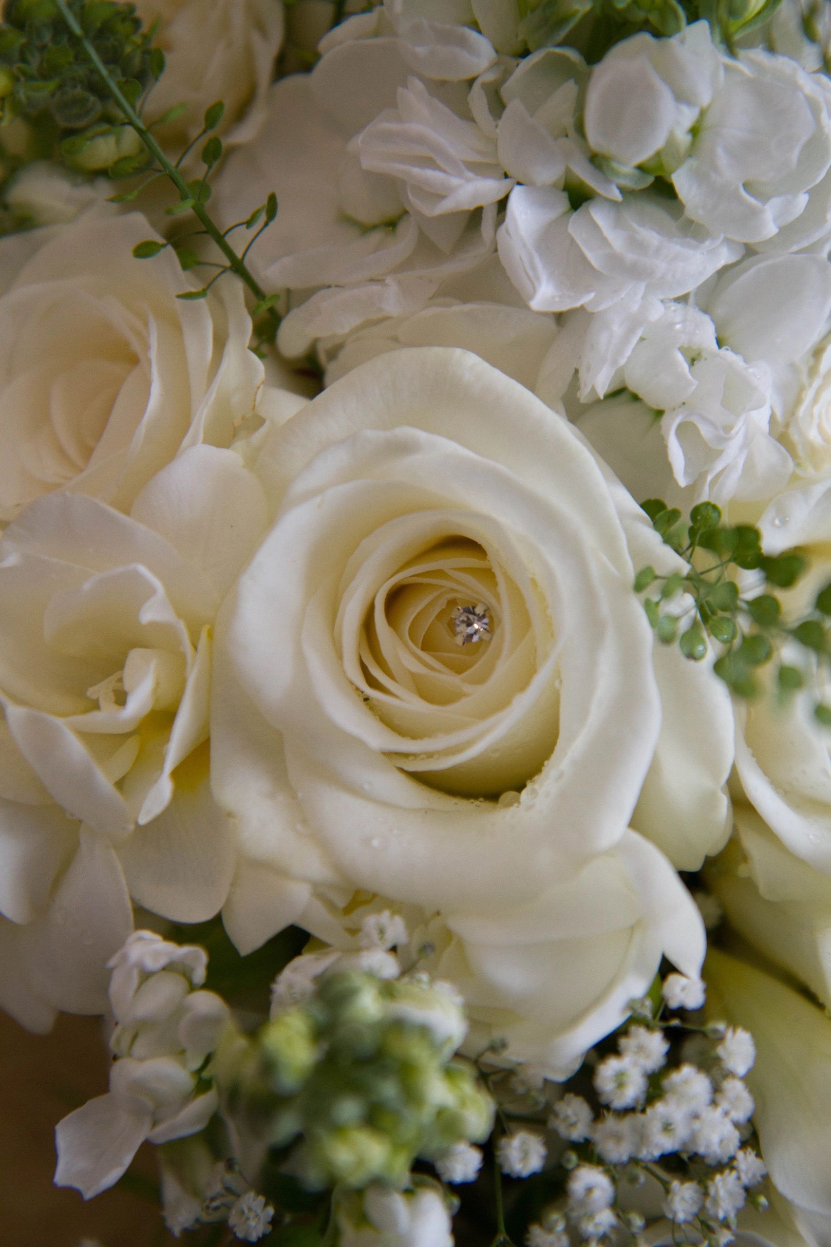 Bloom in Scents - Florist Northampton, Flowers