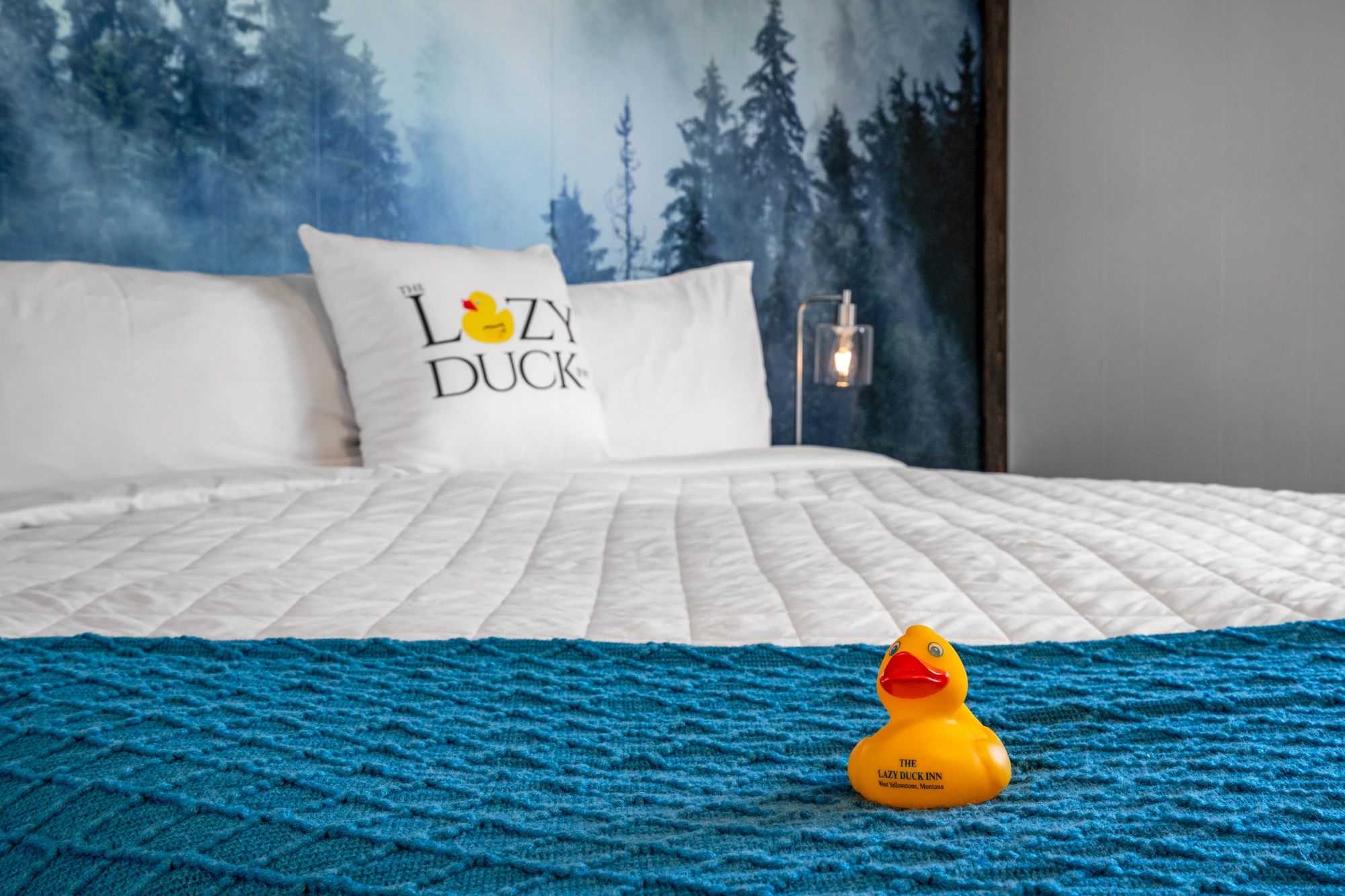 Accommodation at the Lazy Duck Inn