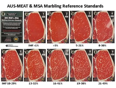 Marbling & Grading | Stonyrun Farms