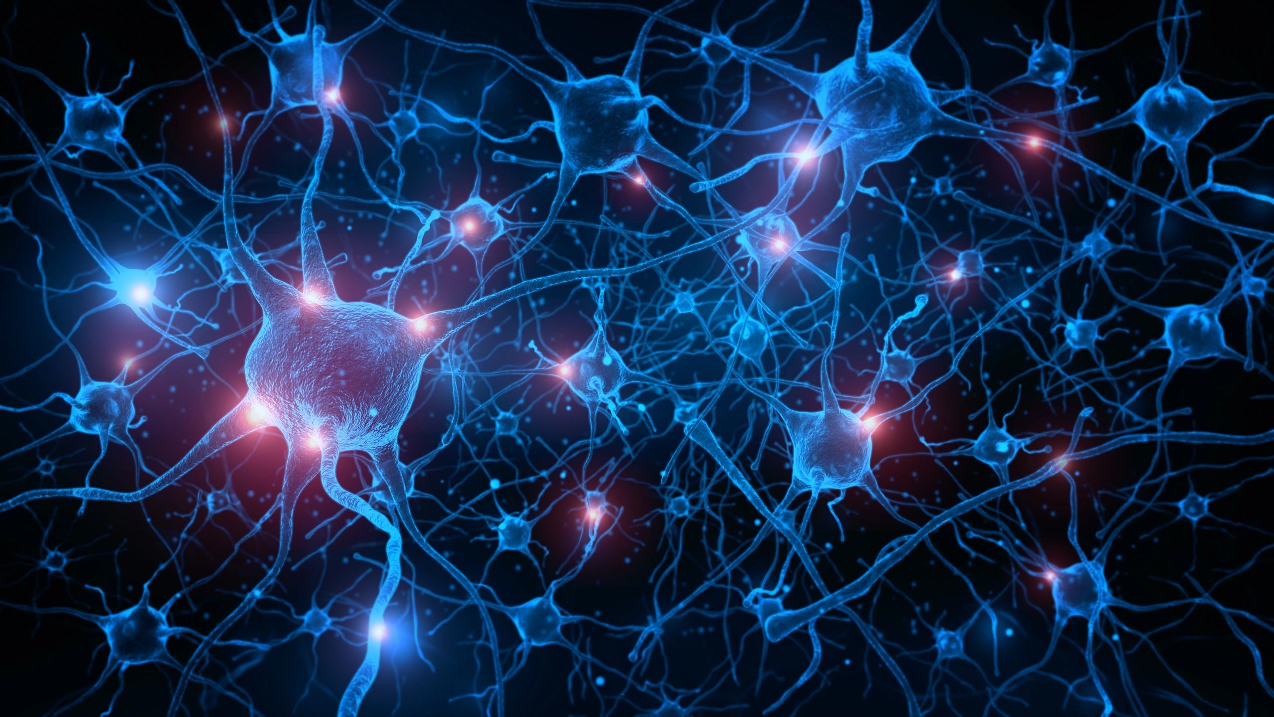 About | Lyterian Therapeutics