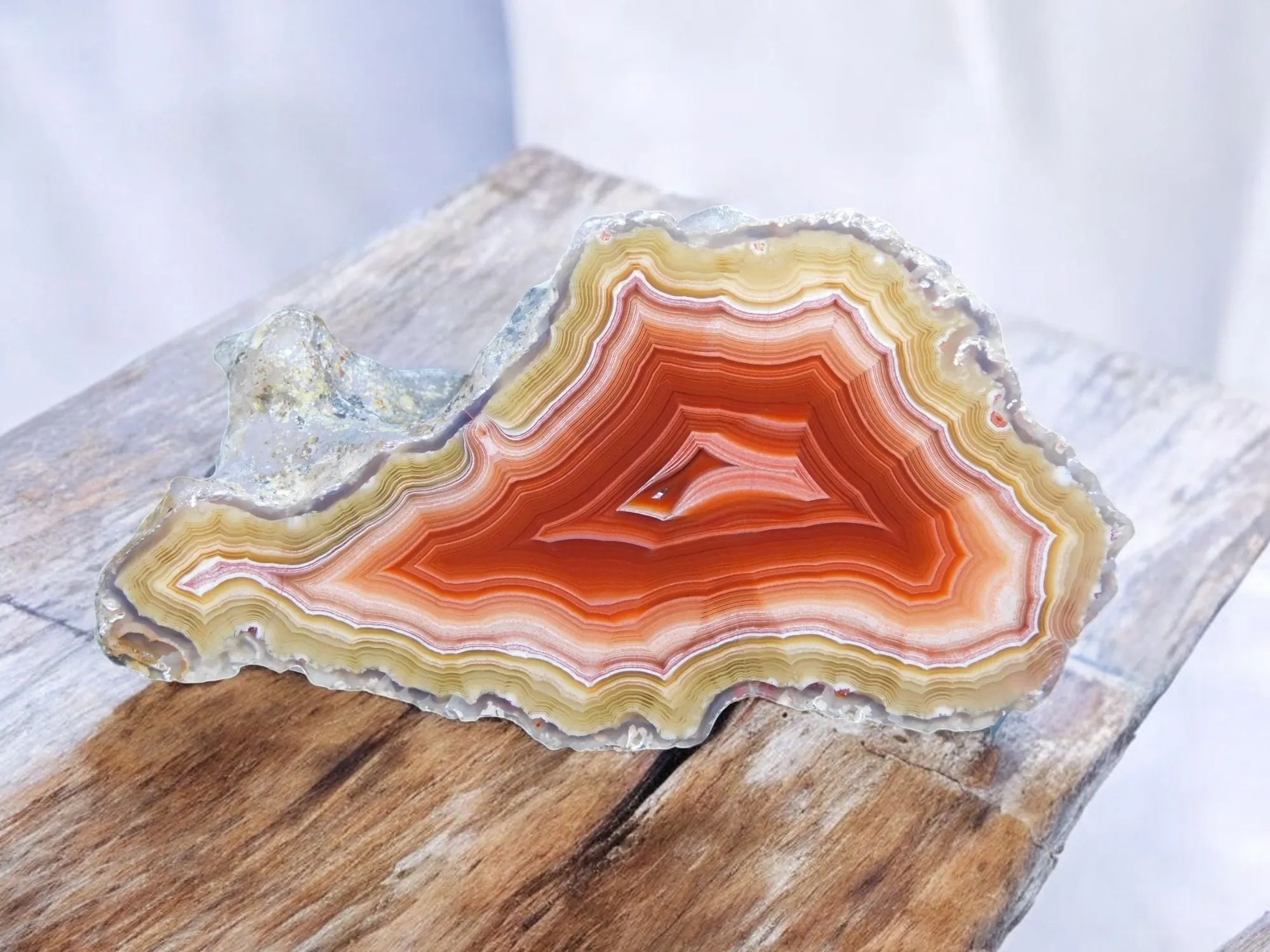 Discover Unique Natural Agate Specimens at Hard Agates Gallery