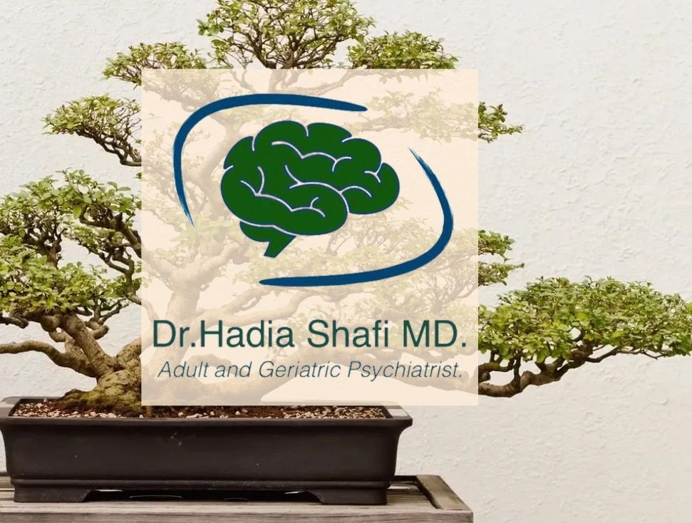 Start Here | Hadia Shafi MD - Integrative Psychiatry