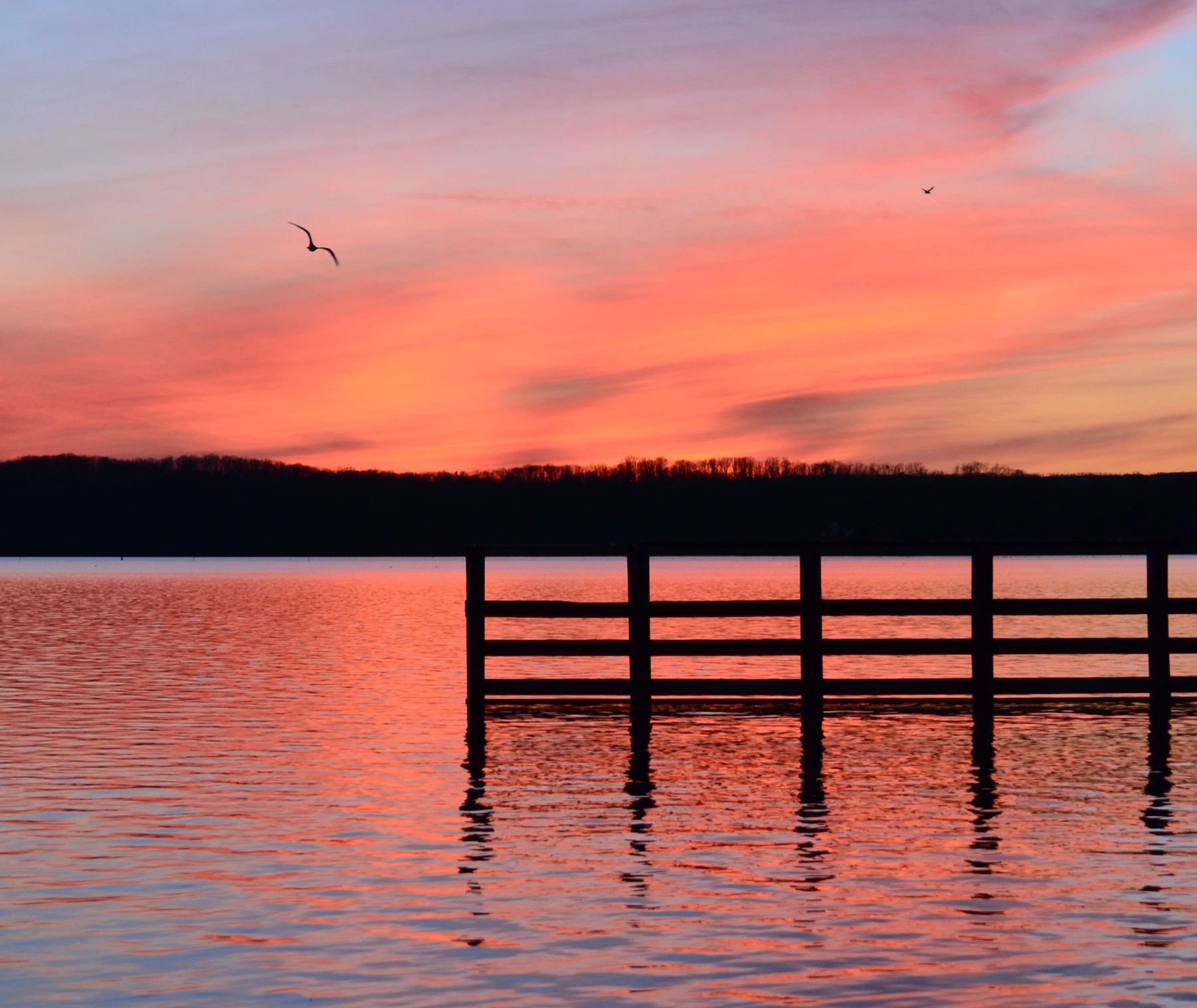 Lake Lodging and Camping, Fuel and Restaurant - Ten Mile, Tennessee
