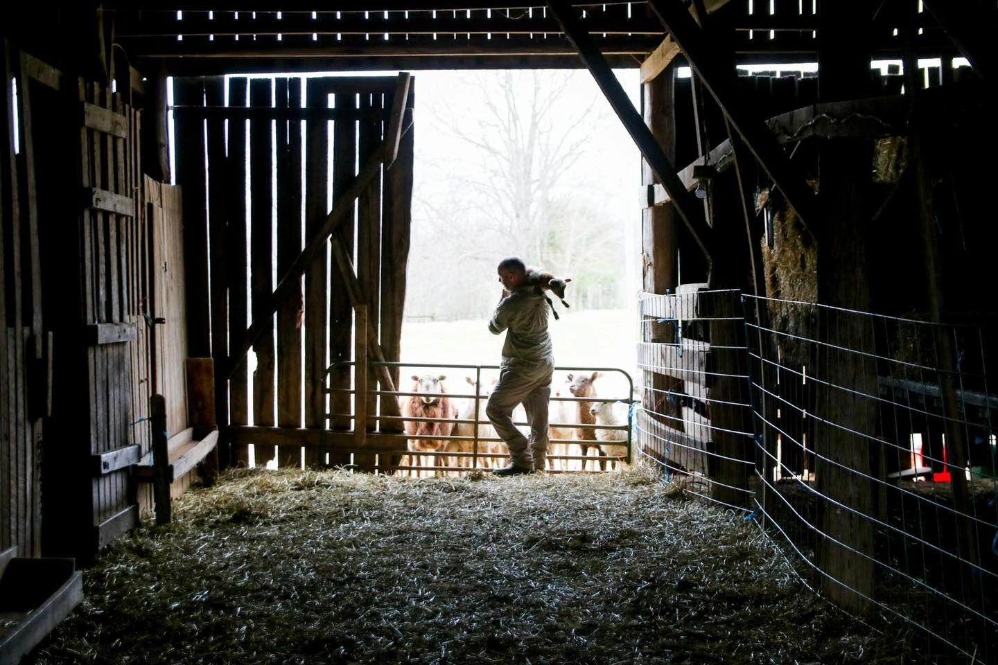 Kentucky Farm Life - Farm, Livestock, Farm and Home